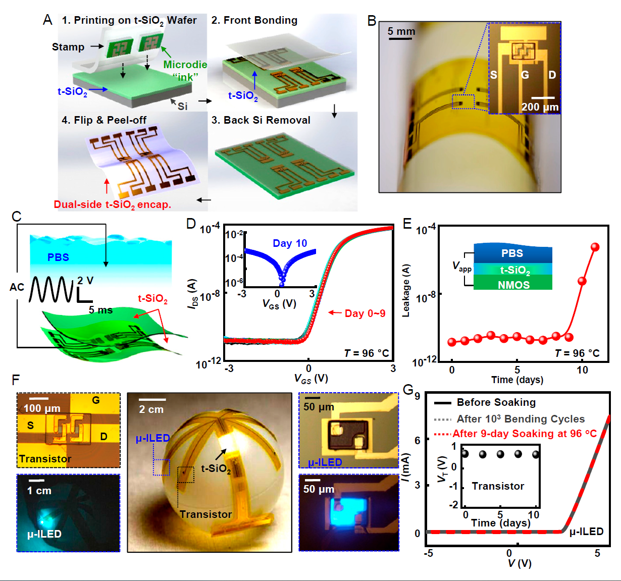 Flexible bioelectronic systems as implantable neural interfaces for large-scale brain recording