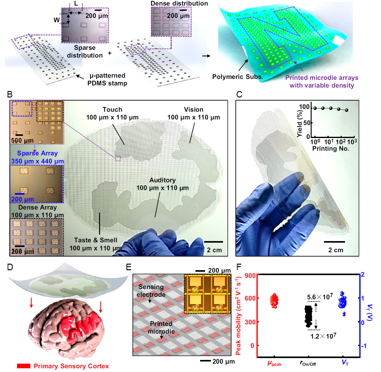 Flexible bioelectronic systems as implantable neural interfaces for large-scale brain recording